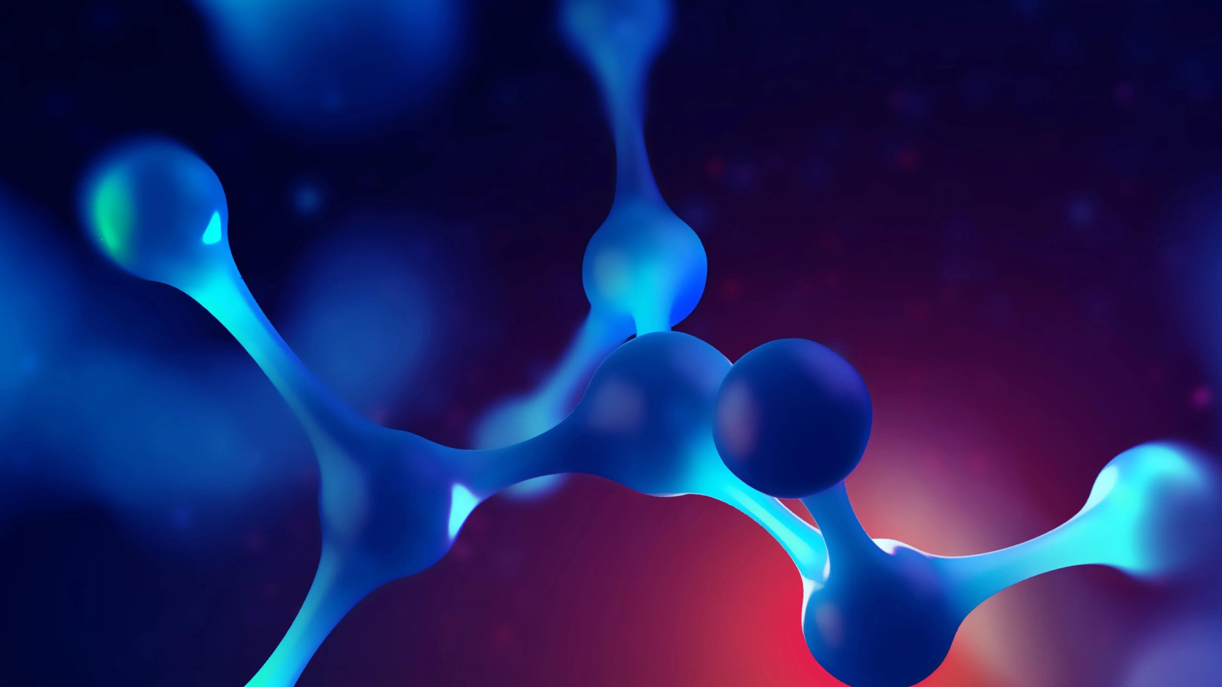 Leadership | Constructor Group